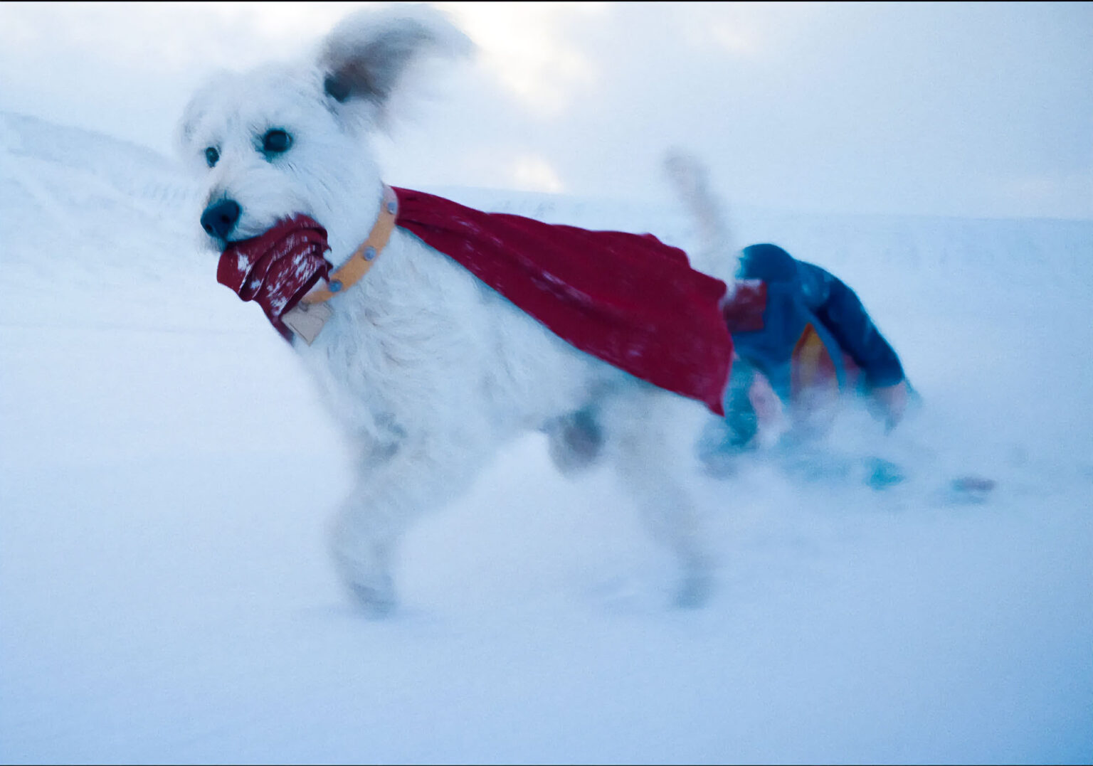 Krypto: la storia del cane di Superman - kanunka.com